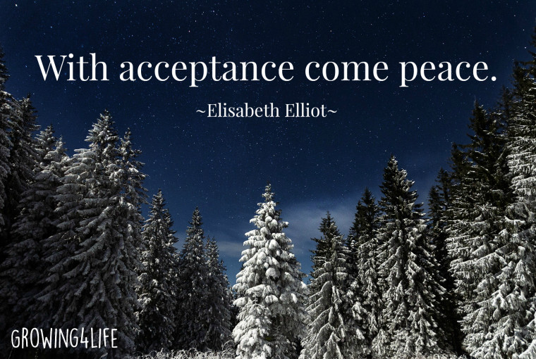 With Acceptance Comes Peace – Growing 4 Life