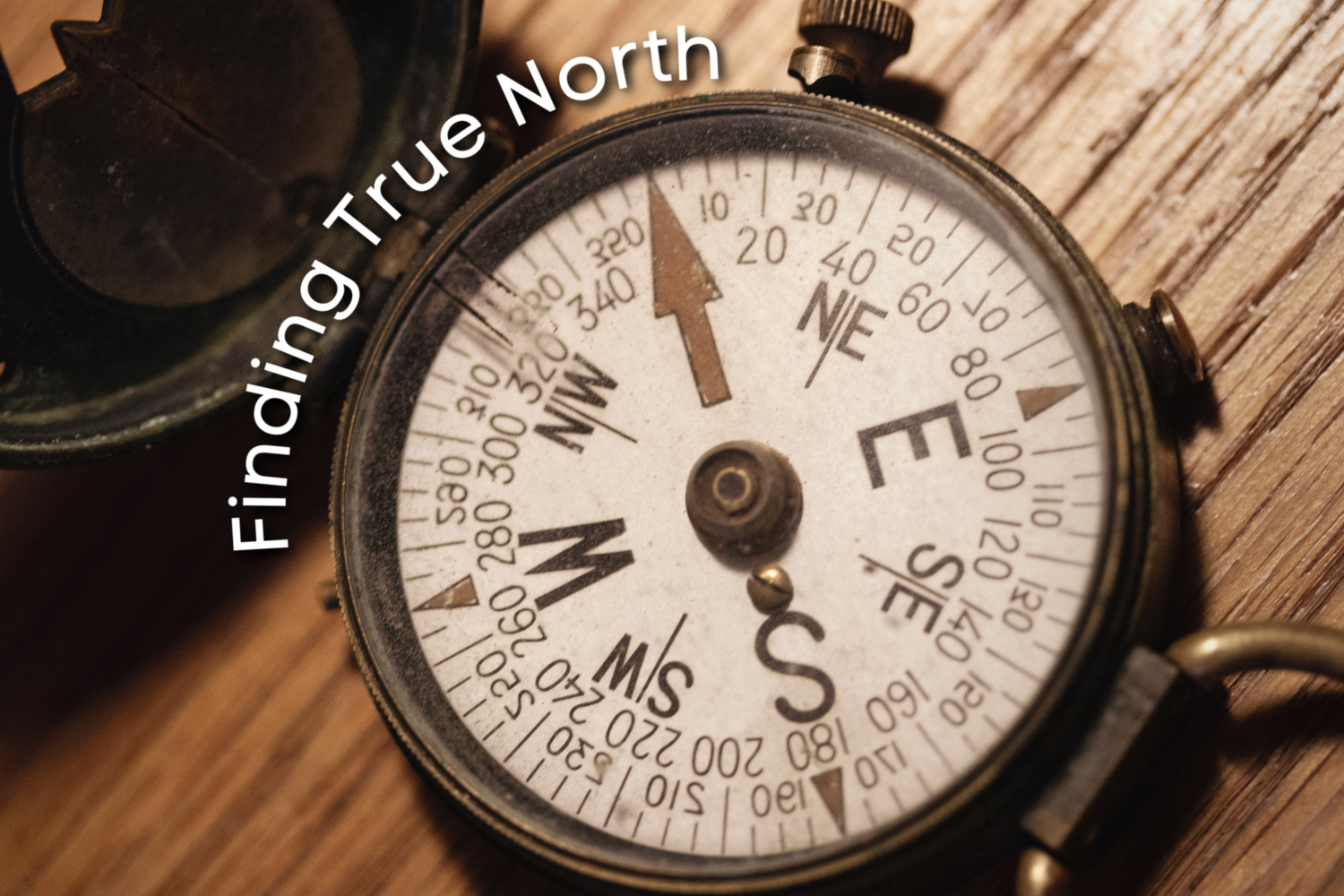 Finding True North – Growing 4 Life
