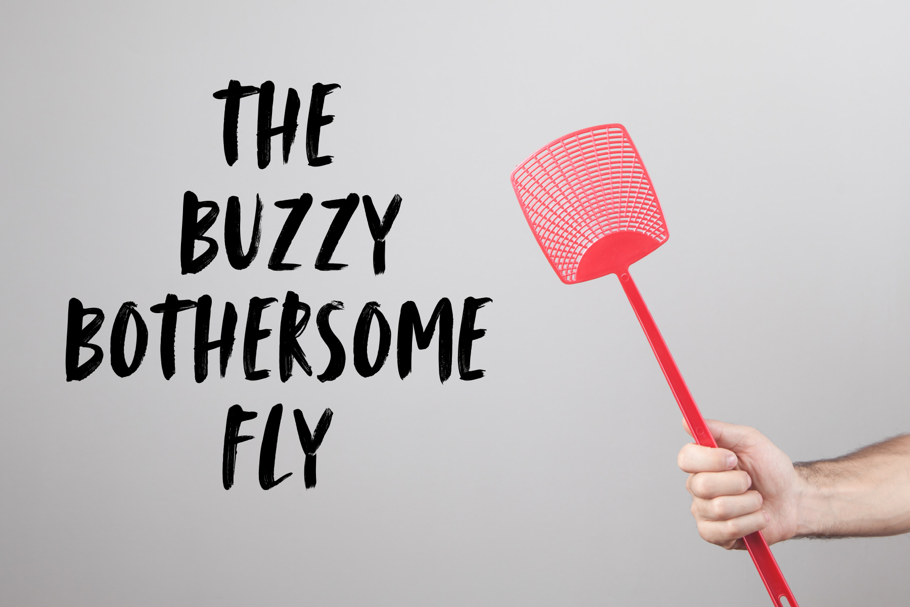 The Buzzy Bothersome Fly – Growing 4 Life