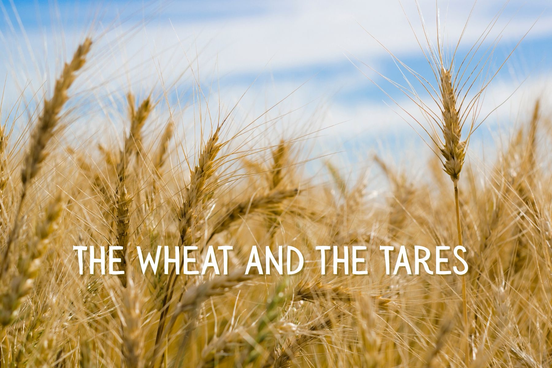 The Wheat and the Tares – Growing 4 Life